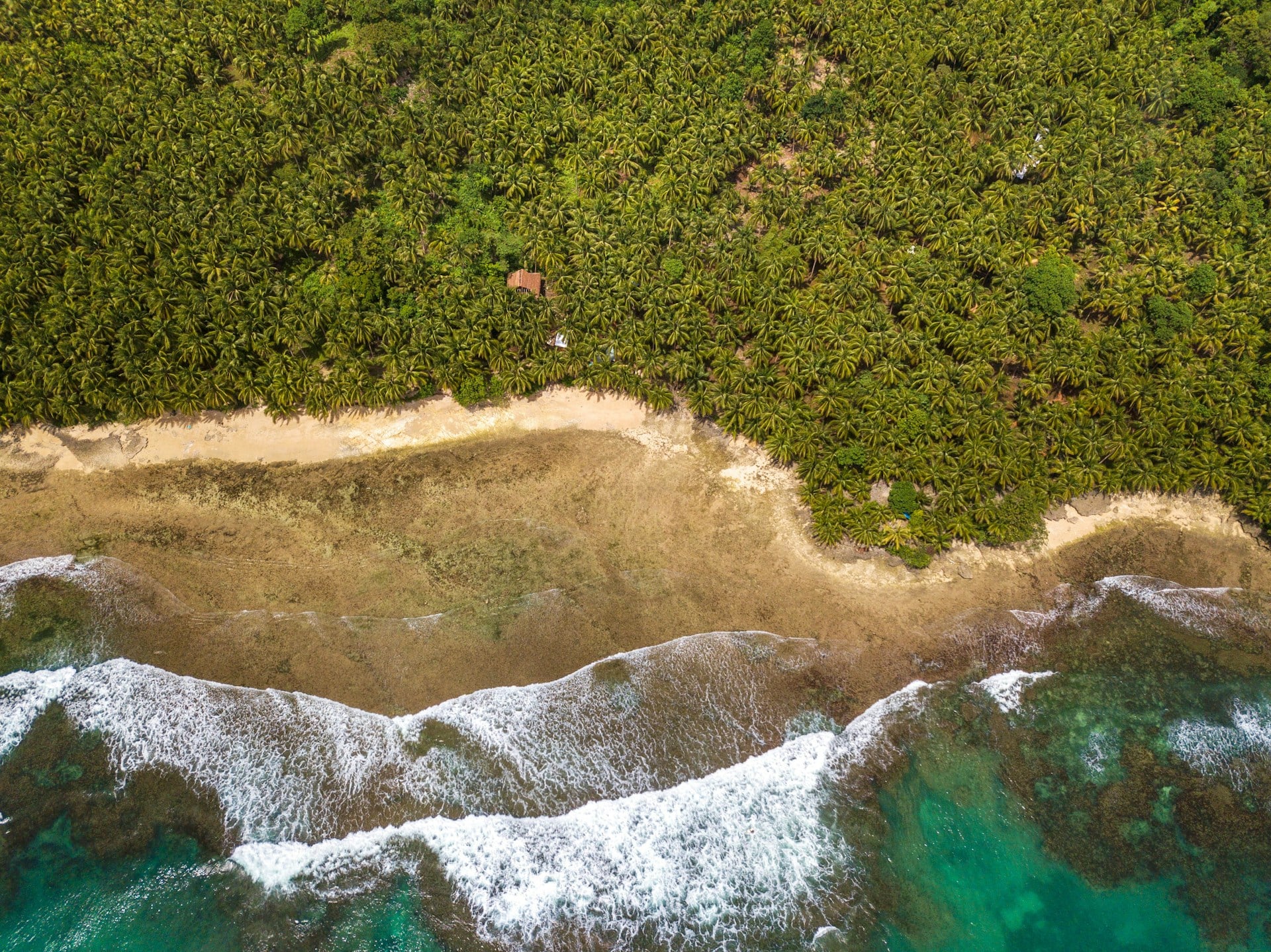 Siargao: The Island That Heals, Thrills, and Inspires