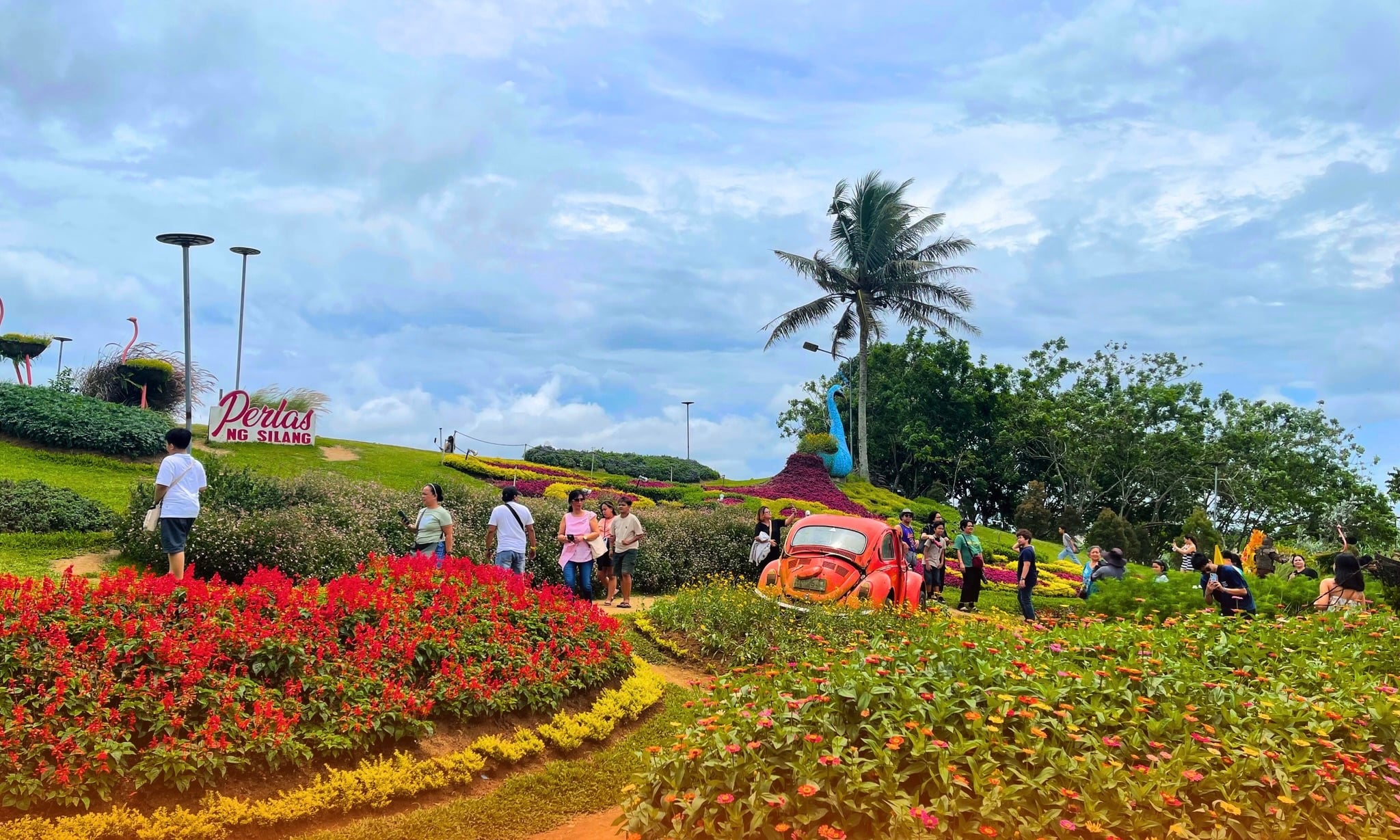 Perlas ng Silang flower farm in Cavite offers Baguio-like experience ...