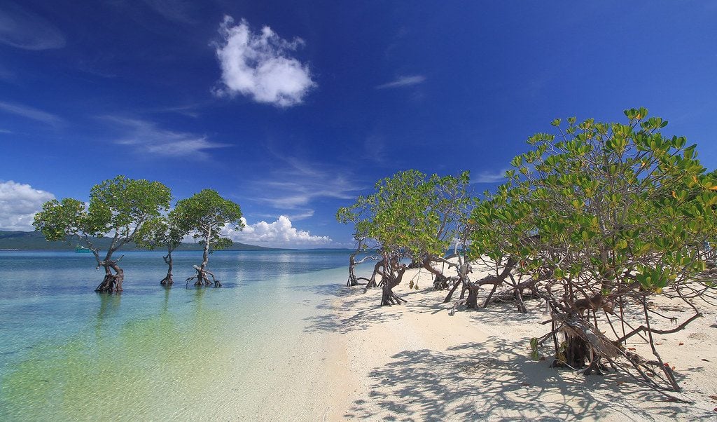 Alibijaban Island: The Secret ‘Tadpole’ Isle Where Manta Rays Glide in ...